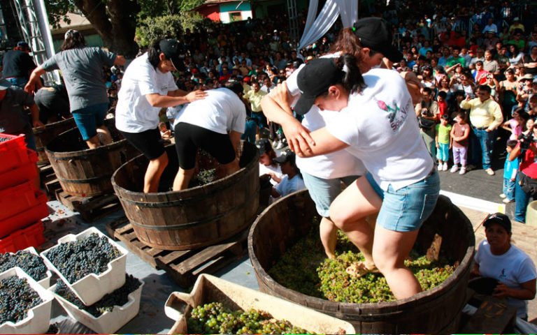 Fiesta de la Vendimia Curicó tradicional de la Región del Maule, Chile